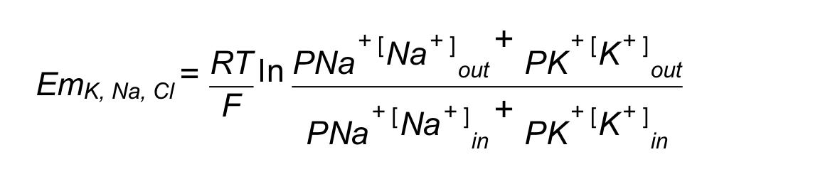 Solved what is the resting membrane potential if the | Chegg.com