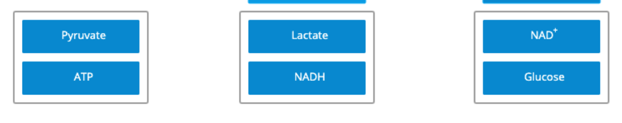 Solved Drag the elements placed at the bottom and drop them | Chegg.com