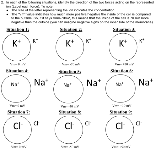 Solved 2. In each of the following situations, identify the | Chegg.com