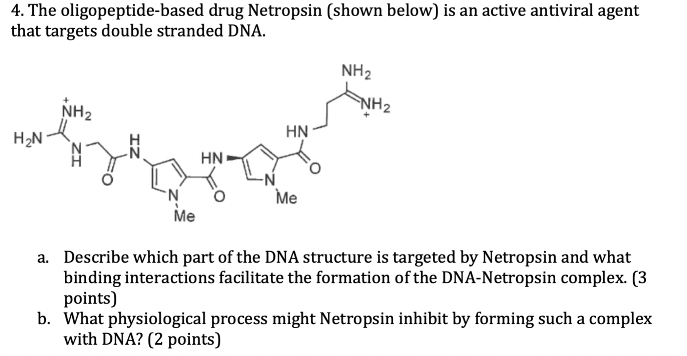 Solved The oligopeptide-based drug Netropsin (shown below) | Chegg.com