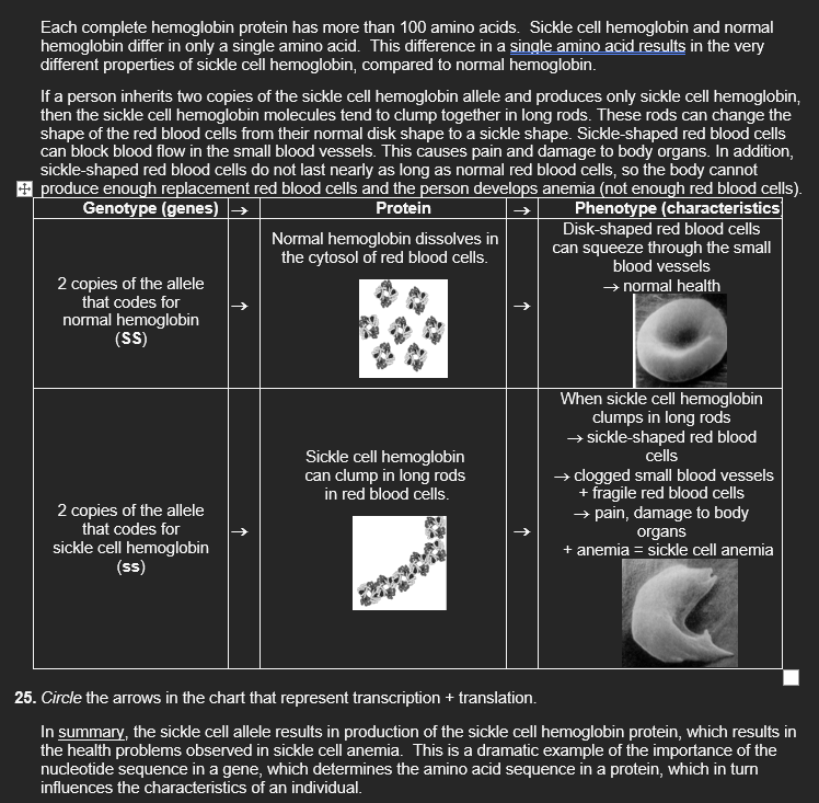 Solved Each complete hemoglobin protein has more than 100 | Chegg.com