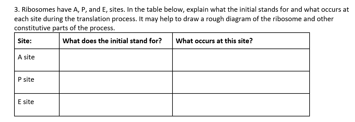 Solved 3. Ribosomes have A,P, and E, sites. In the table | Chegg.com