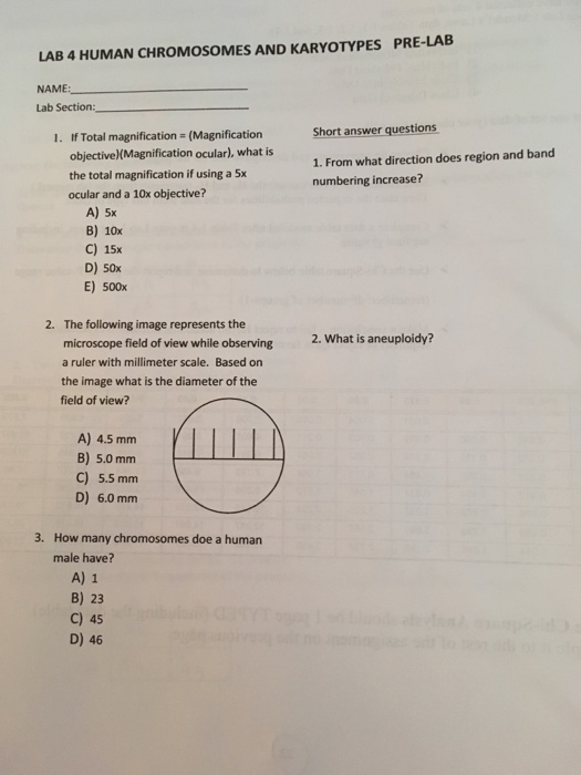 Solved LAB 4 HUMAN CHROMOSOMES AND KARYOTYPES PRE-LAB NAME: | Chegg.com