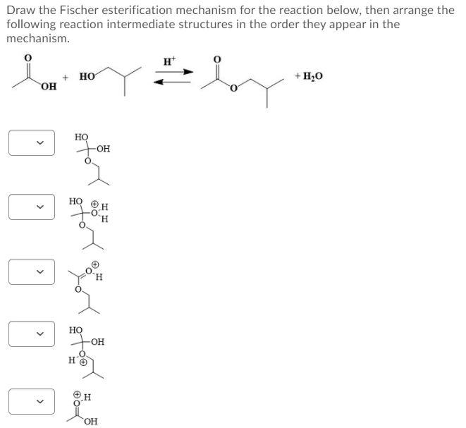 Solved Draw the Fischer esterification mechanism for the | Chegg.com