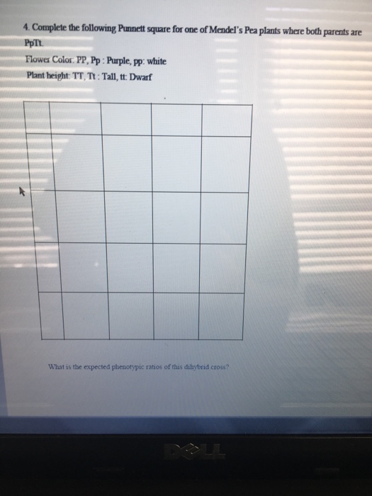 Solved Classical Genetics Exercise Complete the following | Chegg.com