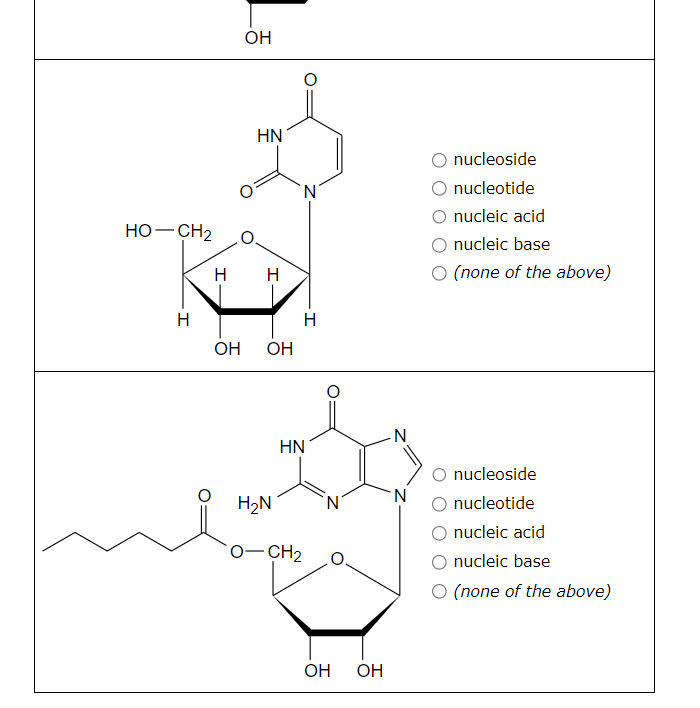 Solved Classify each molecule: Х N NH N N NH2 HO-CH2 | Chegg.com