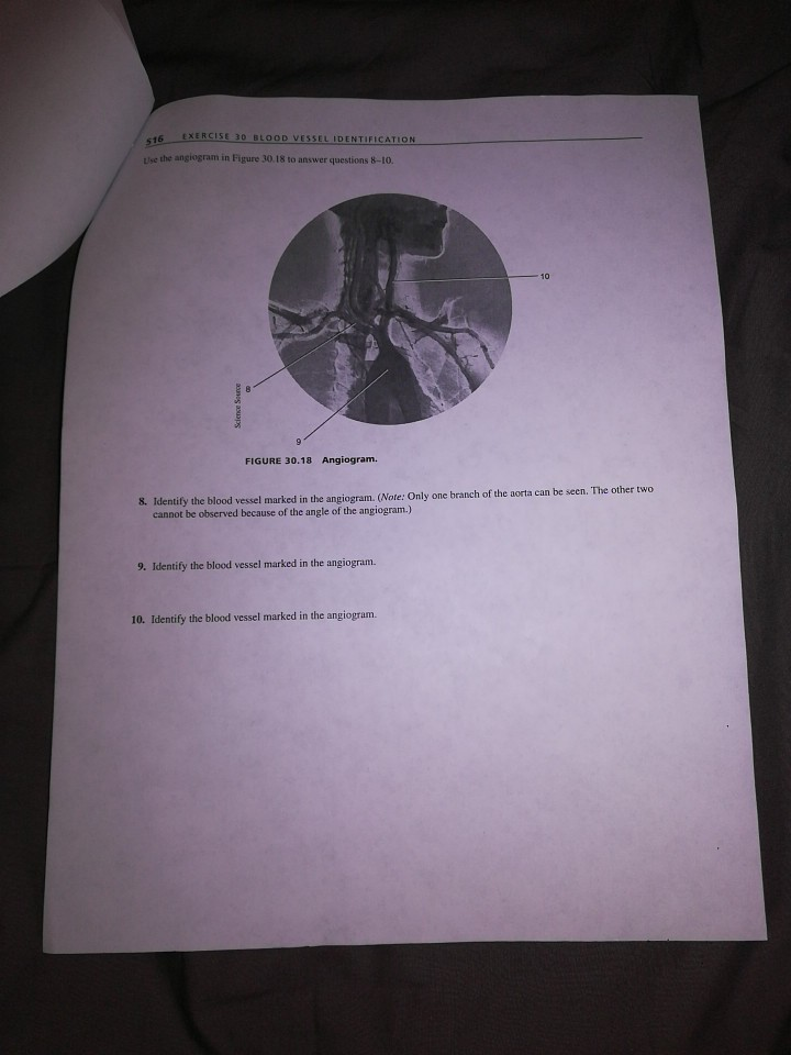 Solved Date Section Name Reviewing Your Knowledge EXERCISE | Chegg.com