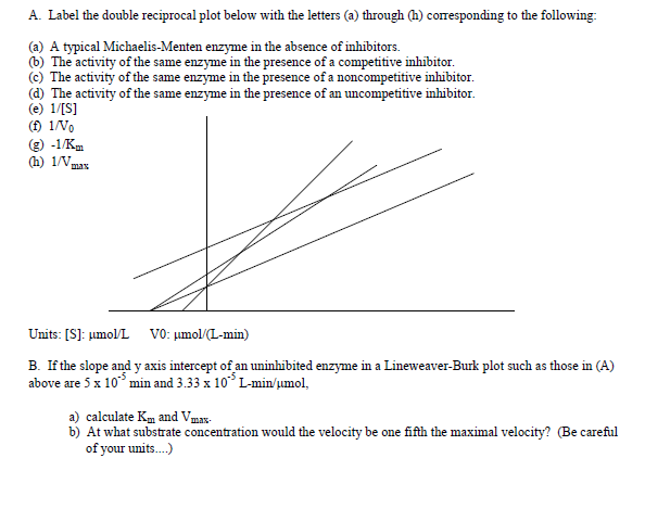Solved A. Label the double reciprocal plot below with the | Chegg.com