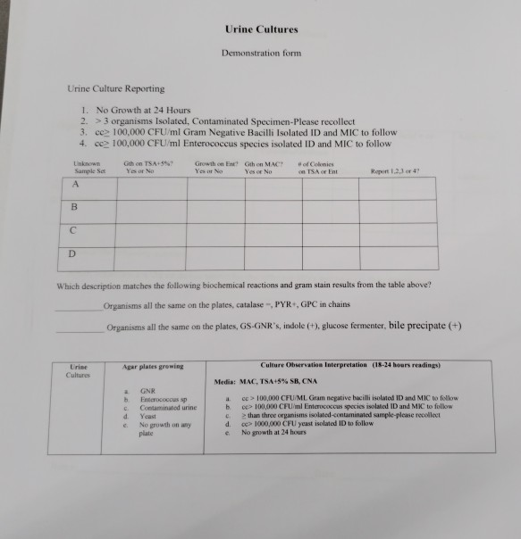 Urine Cultures Demonstration form Urine Culture | Chegg.com