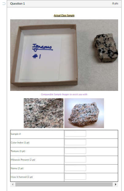 Solved Question 1 8 pts U Actual Class Sample Igneous | Chegg.com