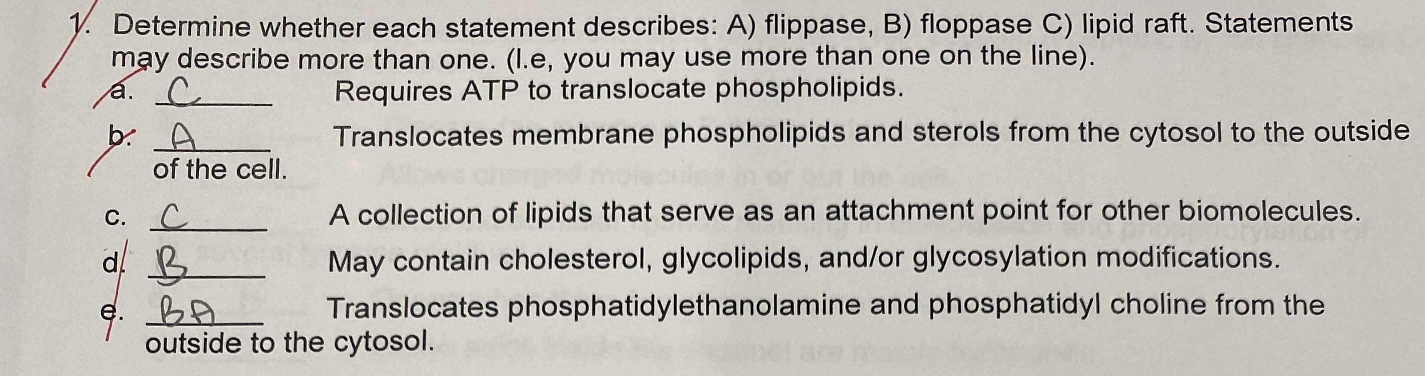 Solved Determine whether each statement describes: A) | Chegg.com