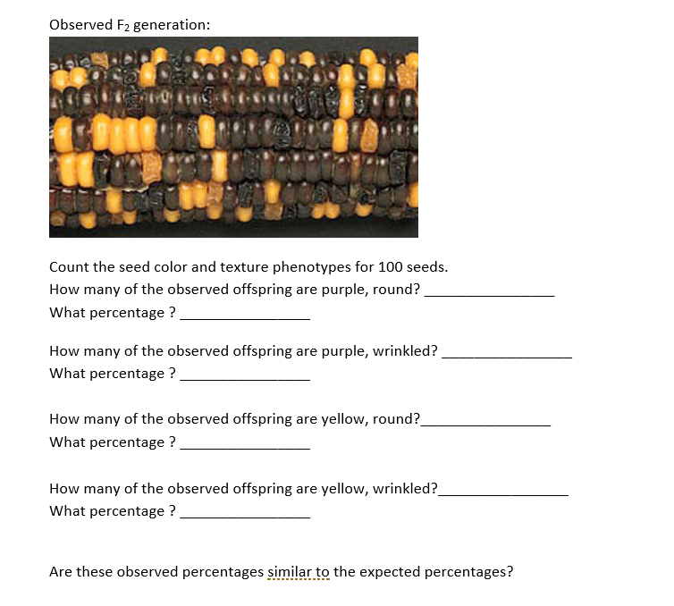 Solved Second Filial (F2) Generation The F2 Generation is | Chegg.com