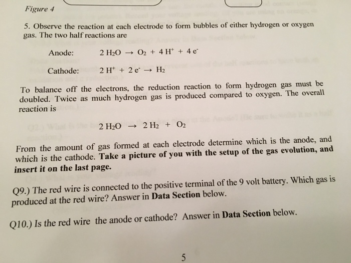 Solved Figure 4 5. Observe the reaction at each electrode to | Chegg.com