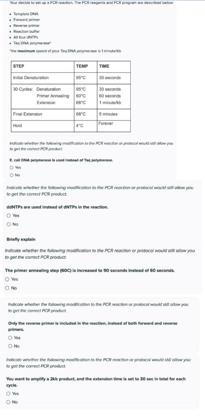 Solved Your decide to set up a PCR reaction. The PCR | Chegg.com