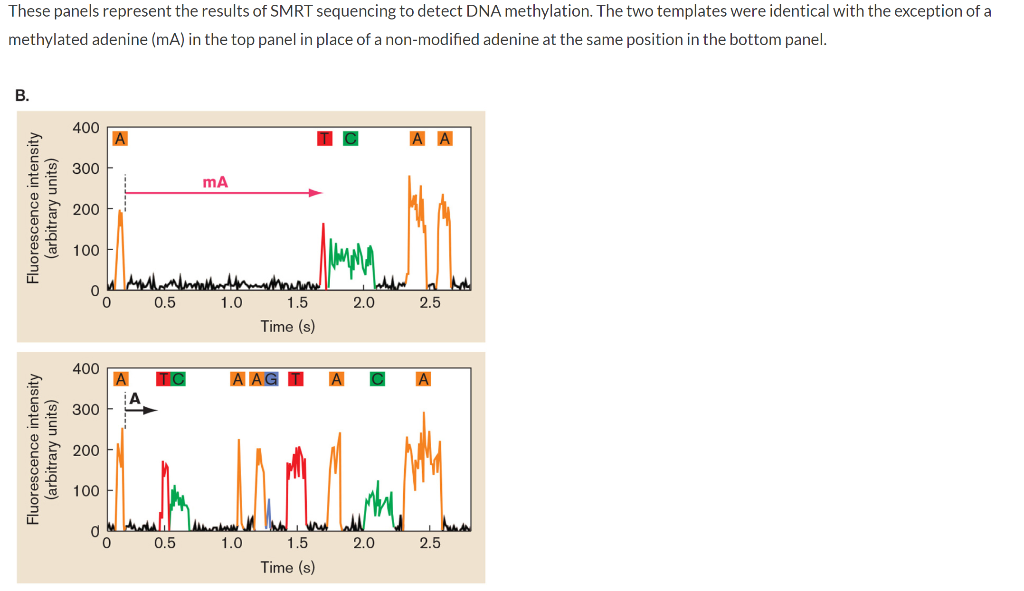 Solved These panels represent the results of SMRT sequencing | Chegg.com