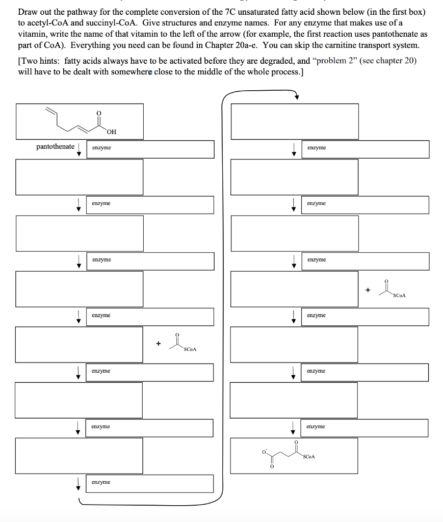 Solved Draw out the pathway for the complete conversion of | Chegg.com