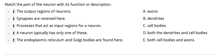 Solved Match the part of the neuron with its function or | Chegg.com