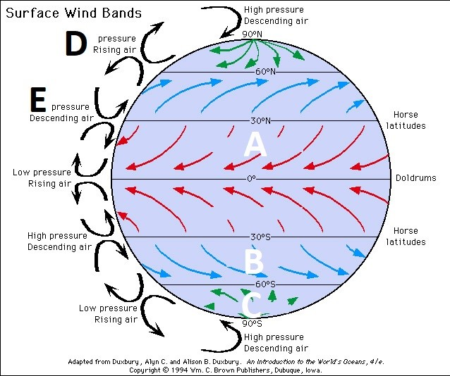 Solved ____High ____Easterlies ____Trade | Chegg.com