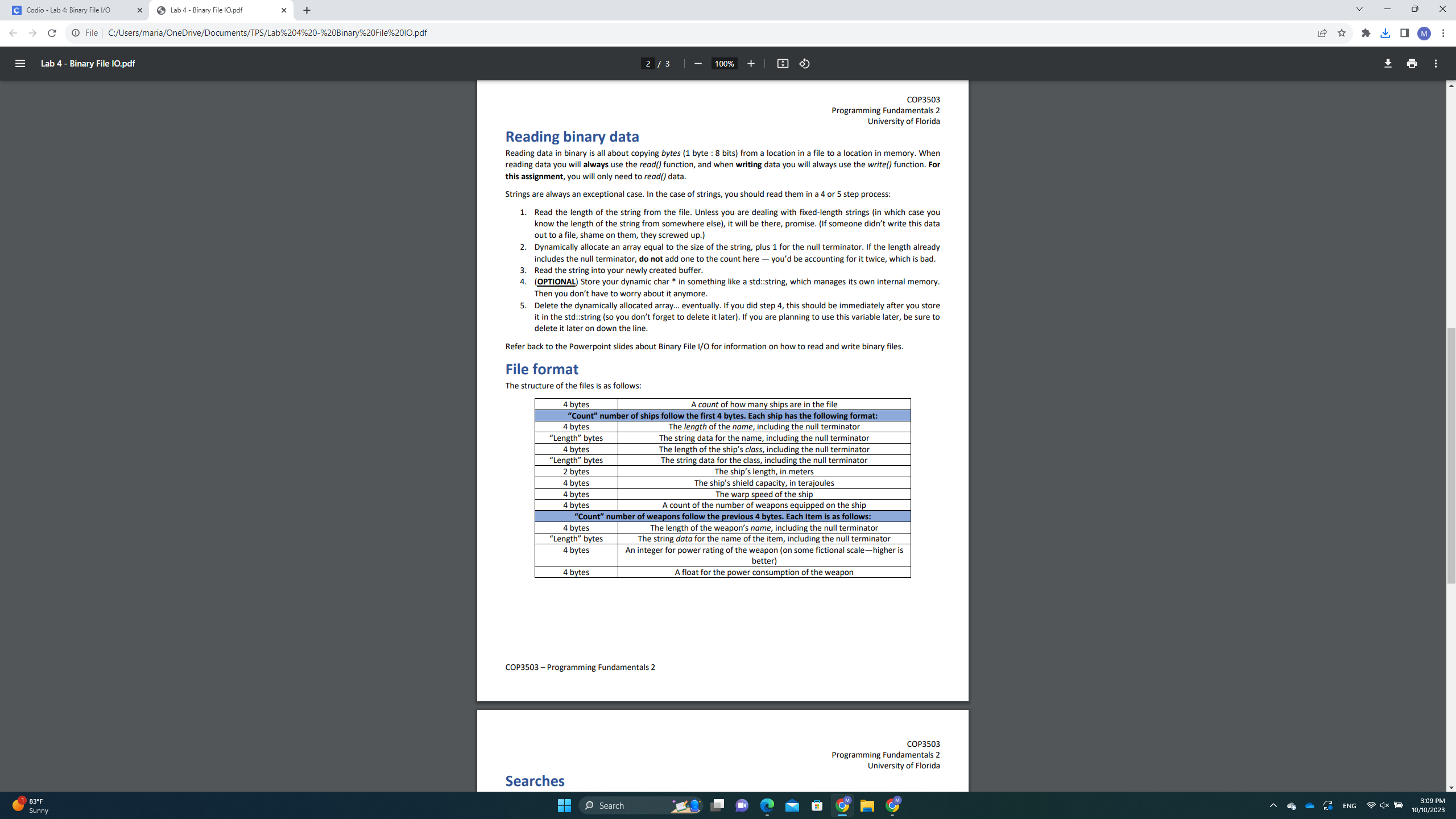 Solved University of Florida Reading binary data Reading | Chegg.com
