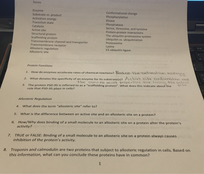 Solved Terms Enzyme Substrate vs. product Activation energy | Chegg.com