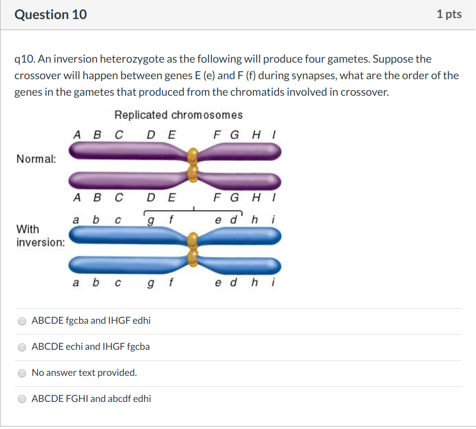 Solved 1 Pts Q10 An Inversion Heterozygote As The Following
