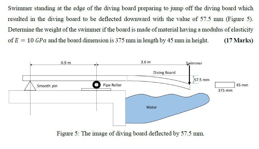 Solved Swimmer standing at the edge of the diving board | Chegg.com