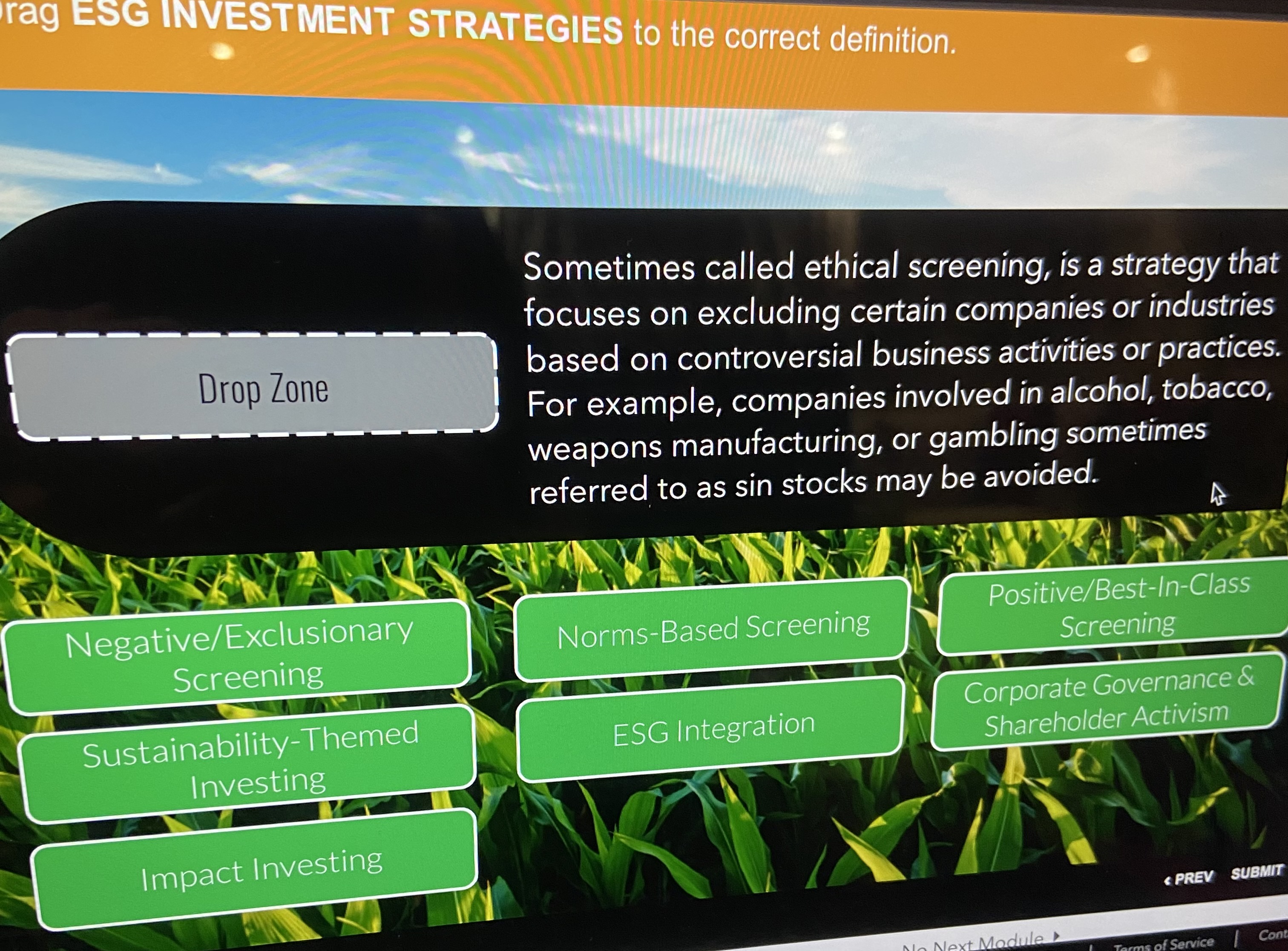 Solved Sometimes called ethical screening, is a strategy | Chegg.com