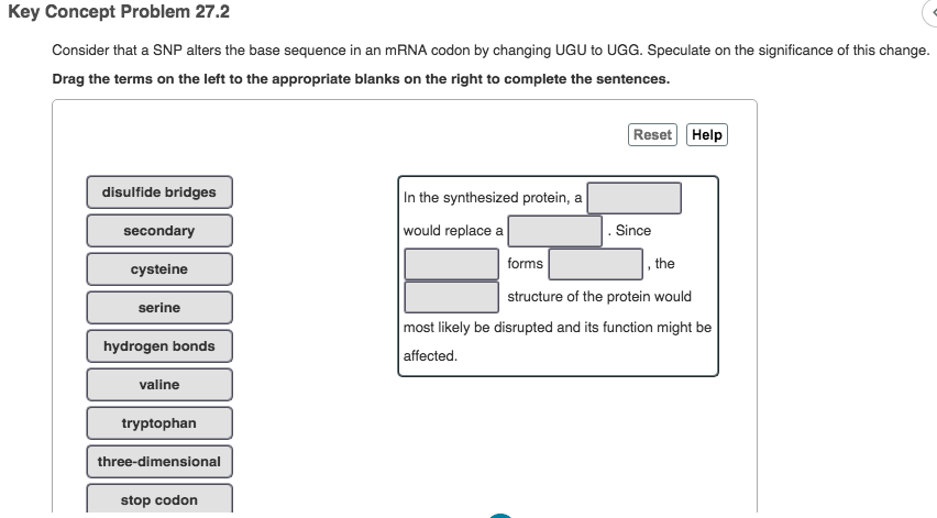 Solved Consider that a SNP alters the base sequence in an | Chegg.com