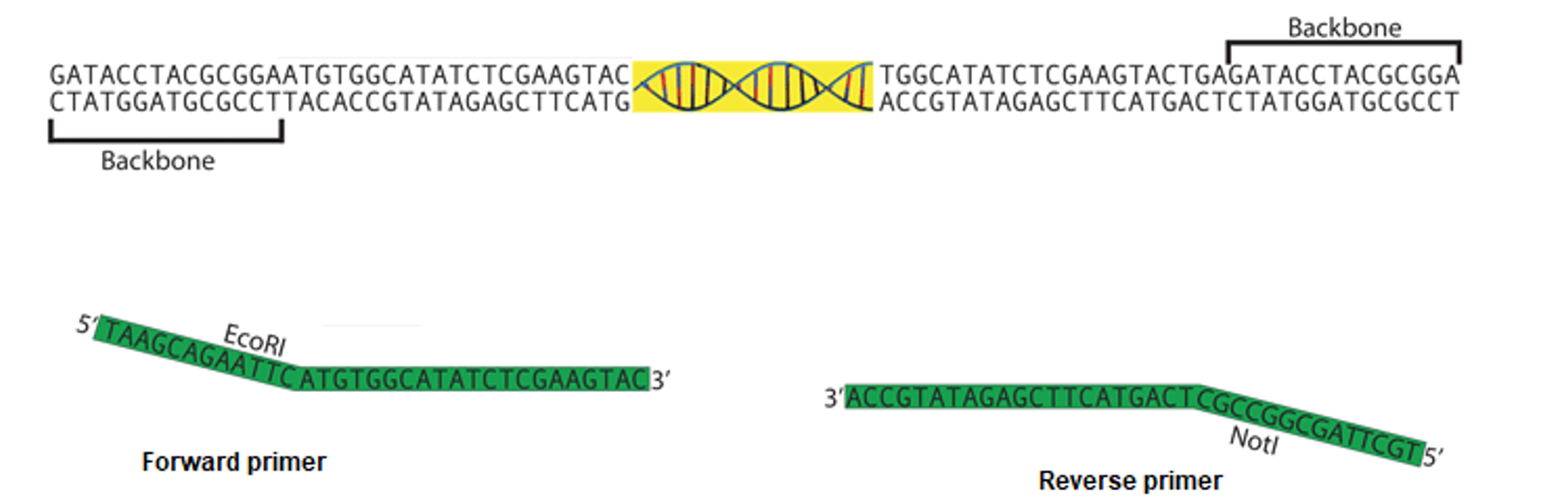 1. Indicate, by adding to the drawing, where the | Chegg.com