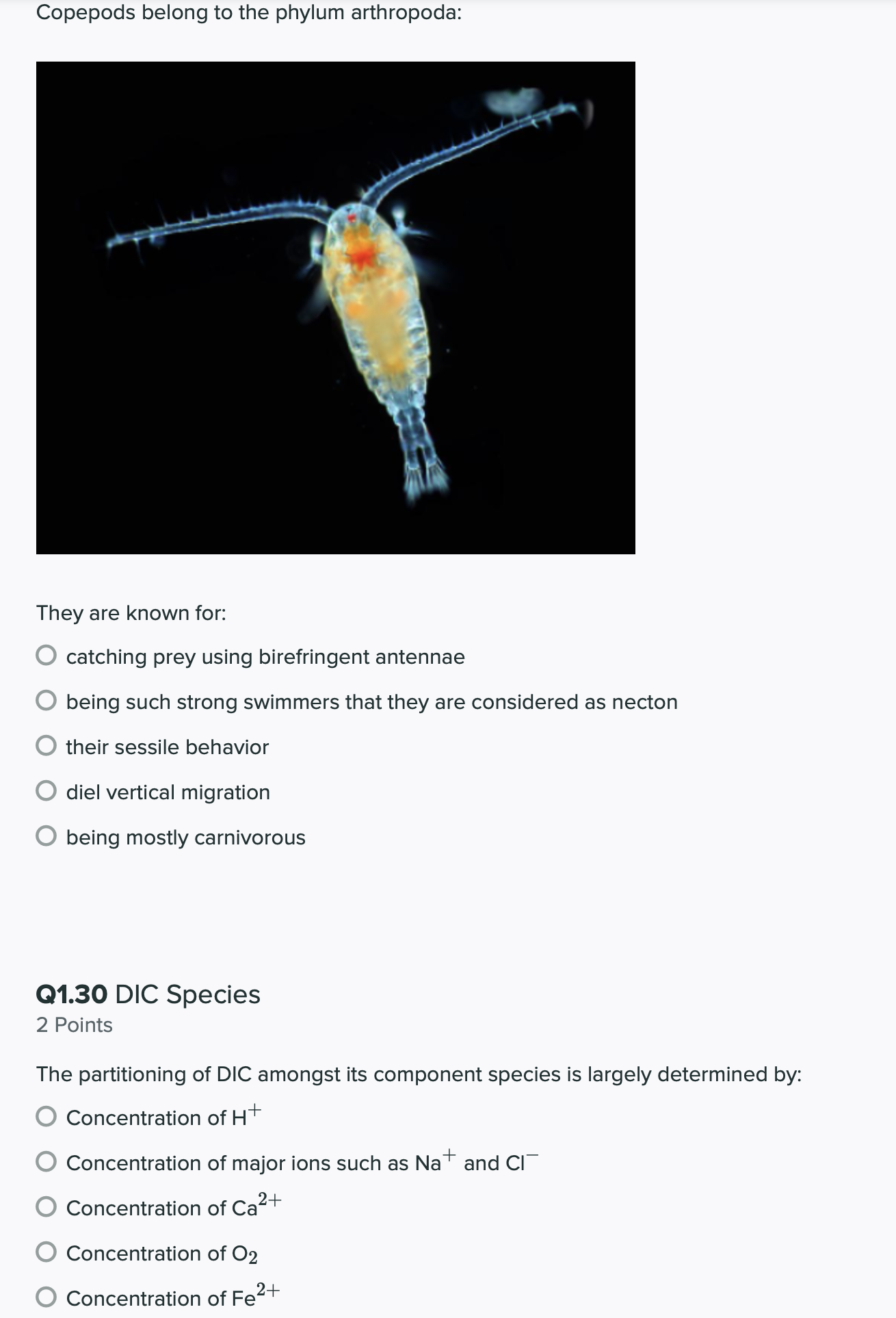 Solved Copepods belong to the phylum arthropoda: They are | Chegg.com