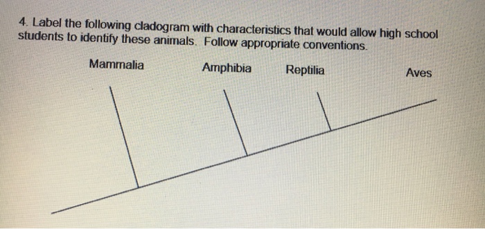 Solved Label the following cladogram with characteristics | Chegg.com