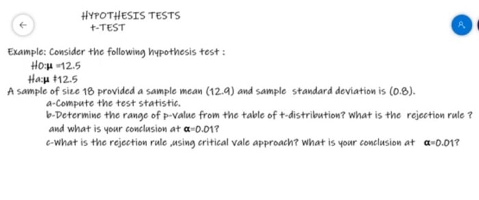 Solved HYPOTHESIS TESTS +-TEST Example: Consider the | Chegg.com