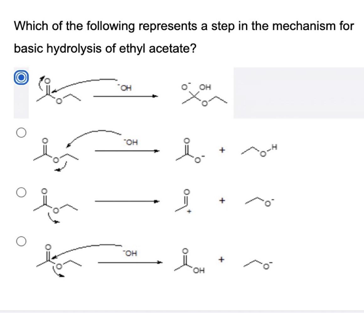 Solved Which of the following represents a step in the | Chegg.com