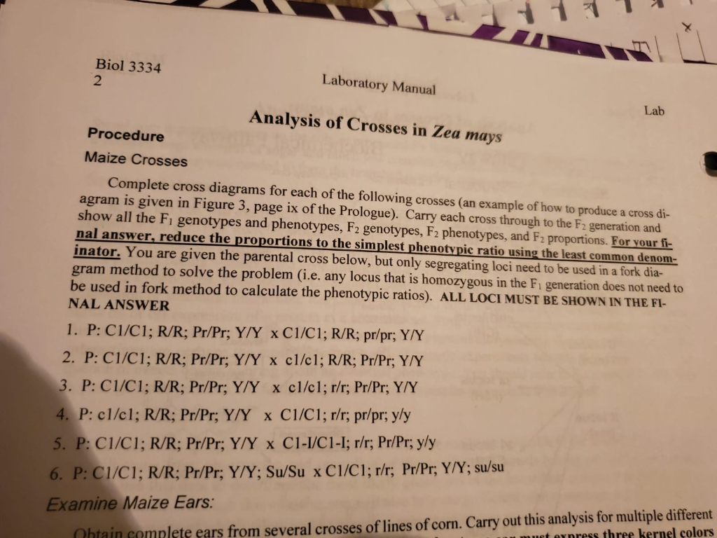 Biol 3334 Laboratory Manual Lab Analysis of Crosses | Chegg.com