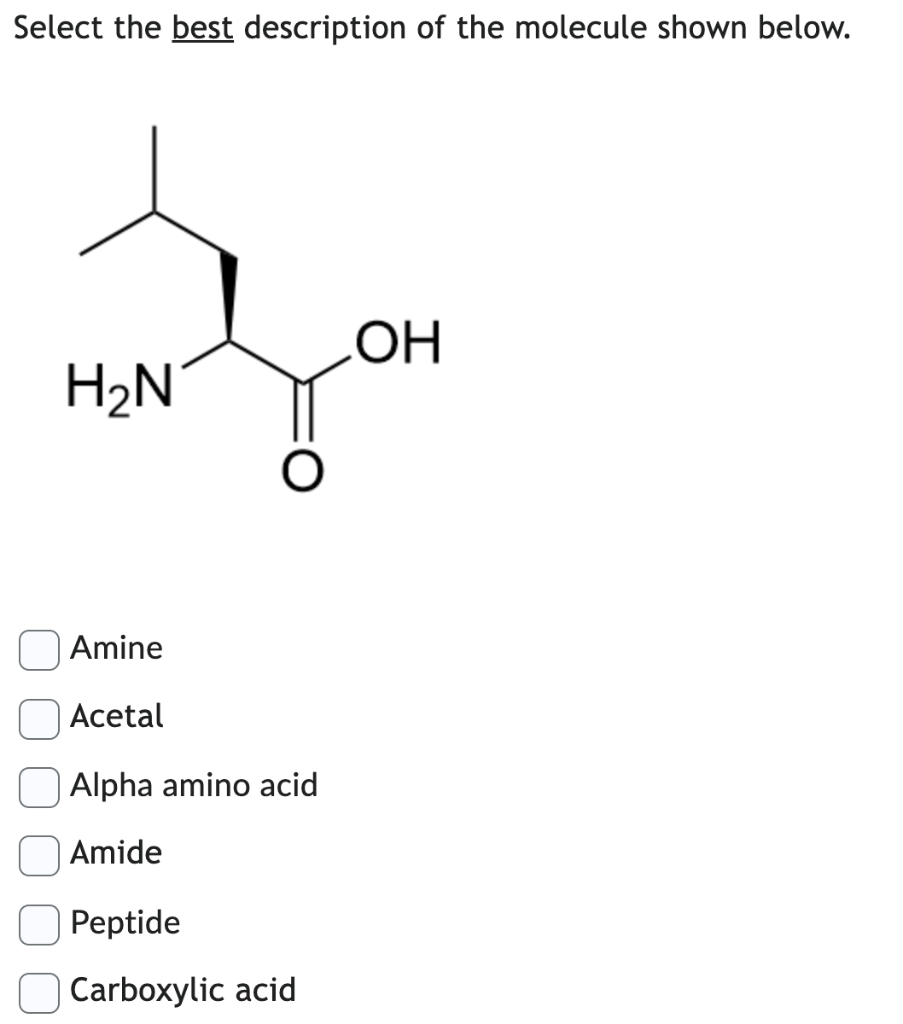 Solved Select the best description of the molecule shown | Chegg.com