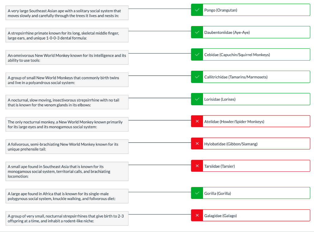 Solved Pongo (Orangutan) A very large Southeast Asian ape | Chegg.com