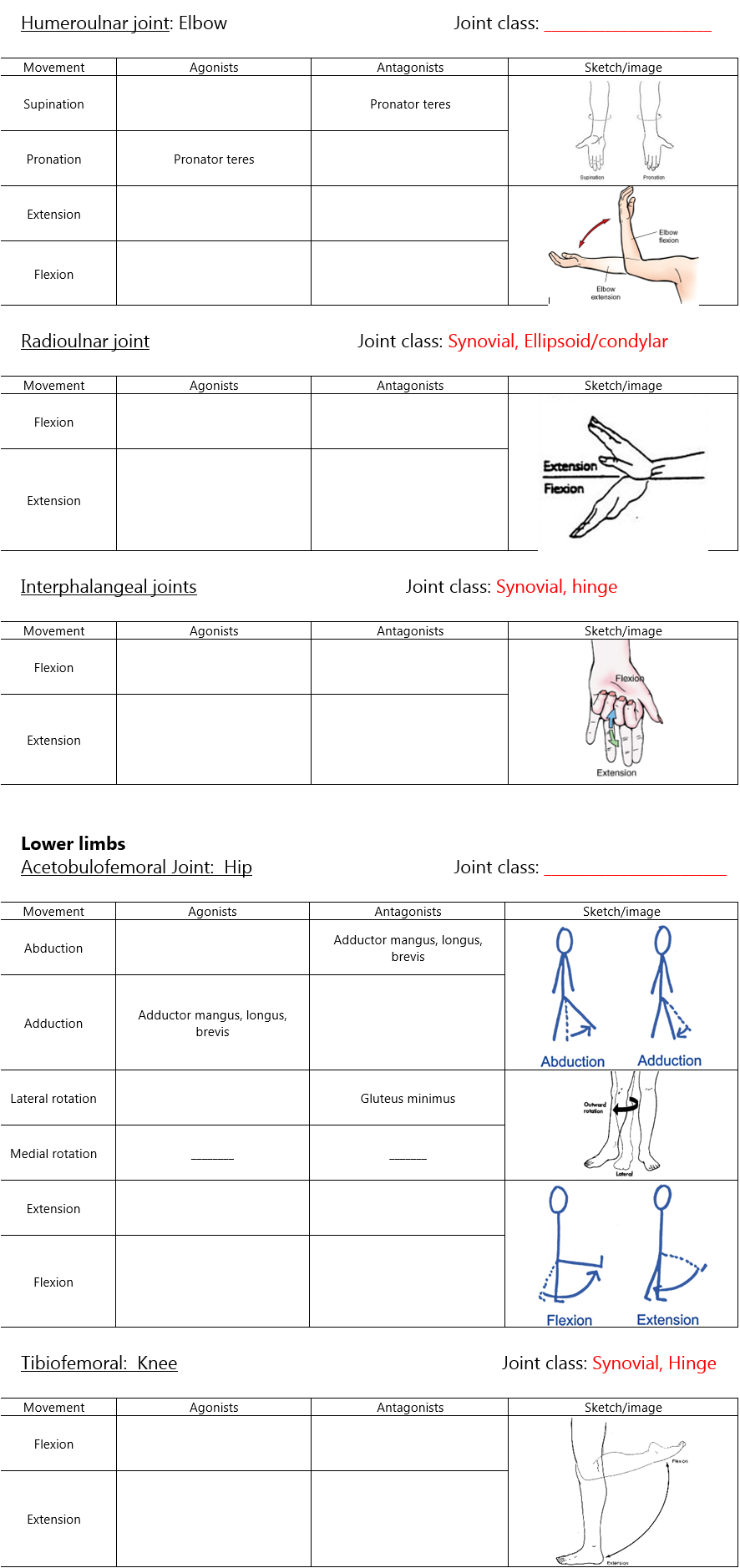 Solved Can you help me please? These are the 20 muscles that | Chegg.com