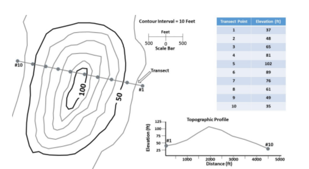 Solved help with topographic assignment, i put all reference | Chegg.com