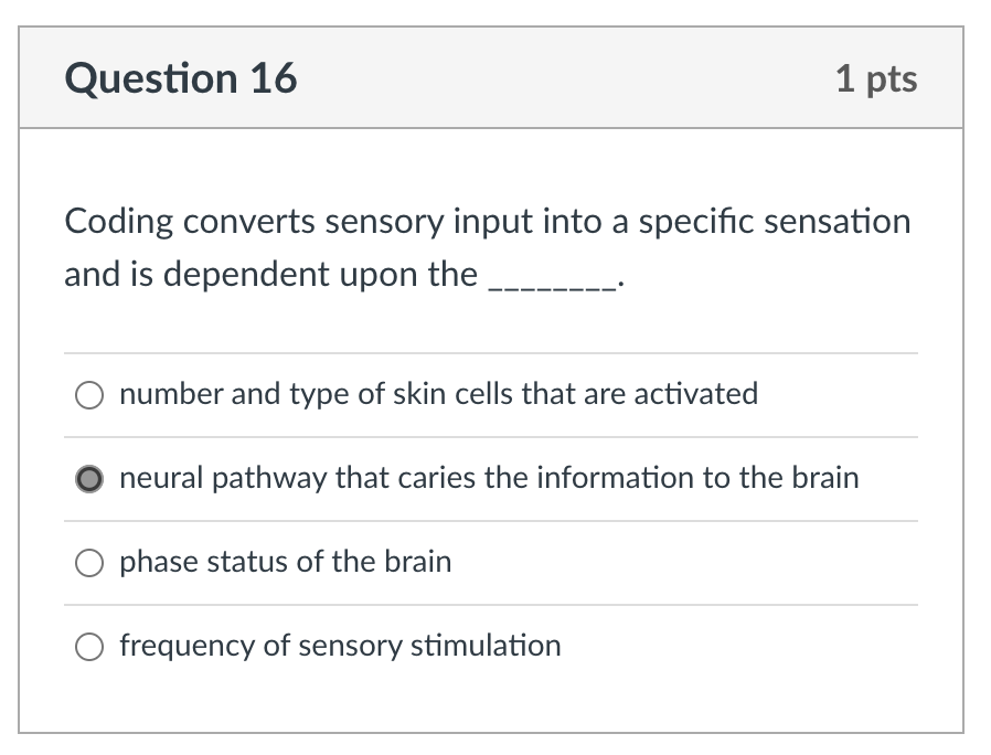 Solved Coding converts sensory input into a specific | Chegg.com