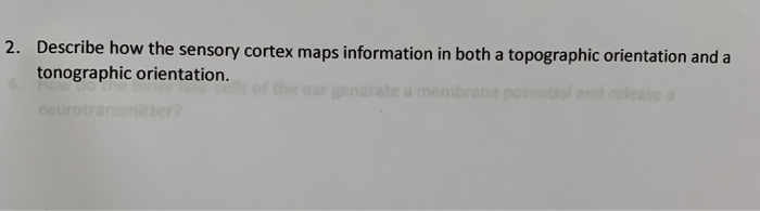 Solved Describe how the sensory cortex maps information in | Chegg.com