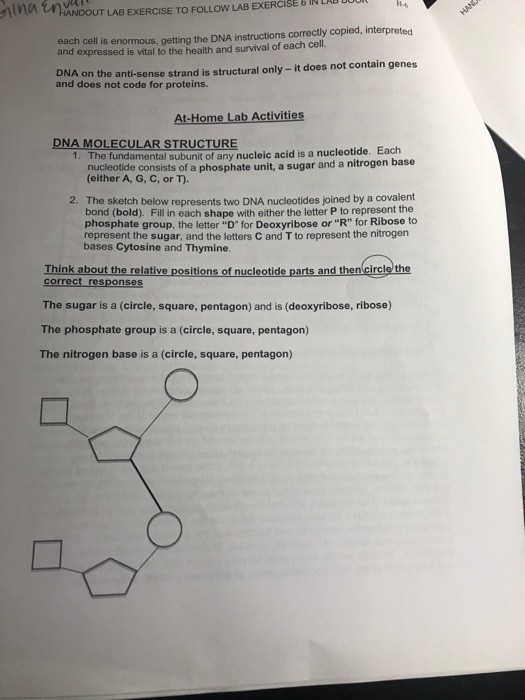 Solved HANDOUT LAB EXERCISE TO FOLLOW LAB EXERCISE 6 IN LAB | Chegg.com Solved HANDOUT LAB EXERCISE TO FOLLOW LAB EXERCISE 6 IN LAB | Chegg.com