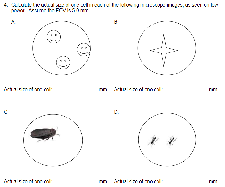 Solved SBI 3C Microscope Calculations 1. Complete the | Chegg.com