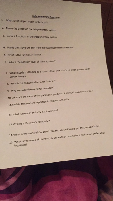 Solved Skin Homework Questions 1. What is the largest organ | Chegg.com