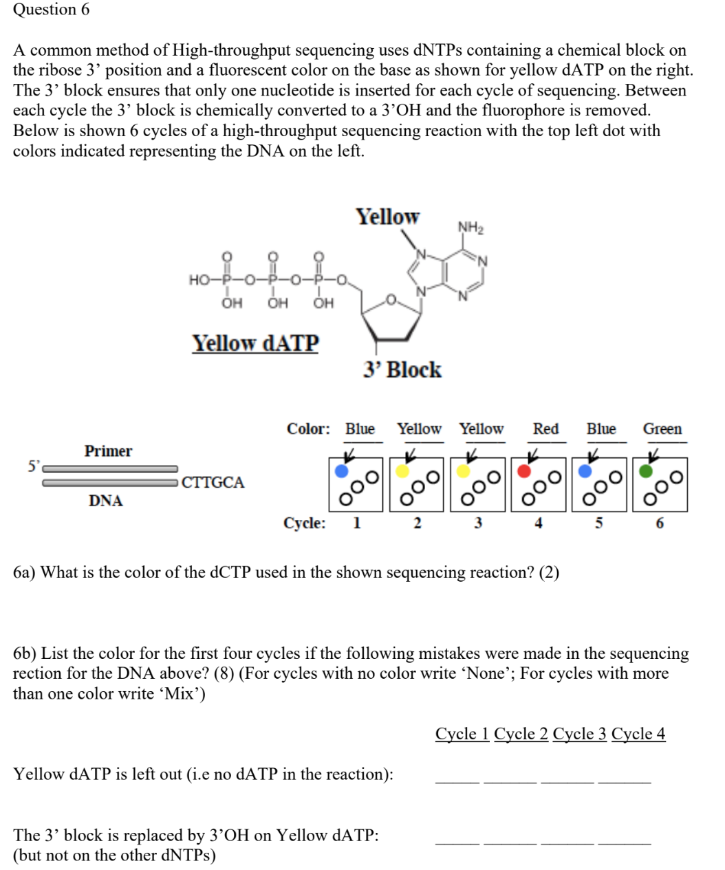 Solved A common method of High-throughput sequencing uses | Chegg.com