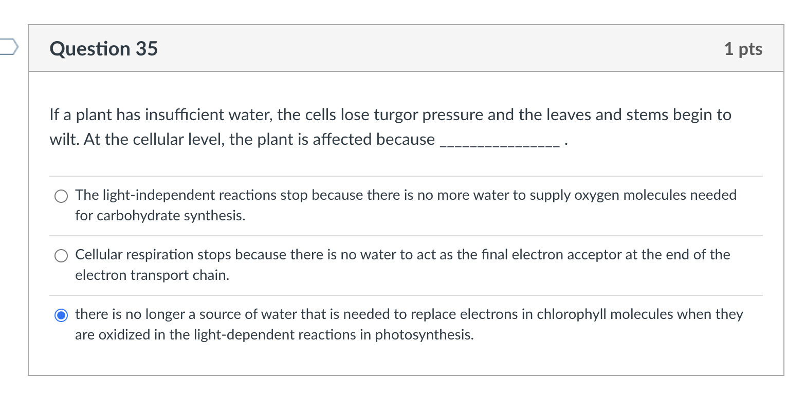 Solved If a plant has insufficient water, the cells lose | Chegg.com