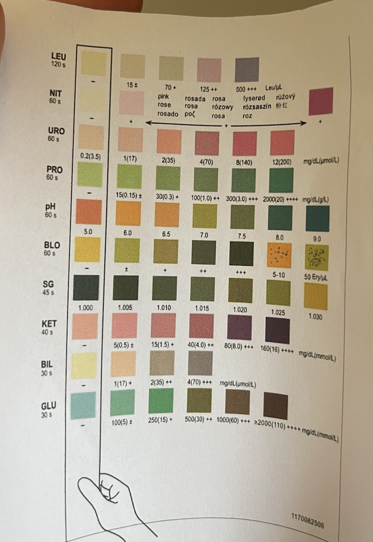 Solved Activity 1 Part 3 Analysis Of Your Own Urine 8 Chegg
