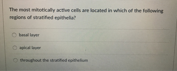 Solved The most mitotically active cells are located in | Chegg.com