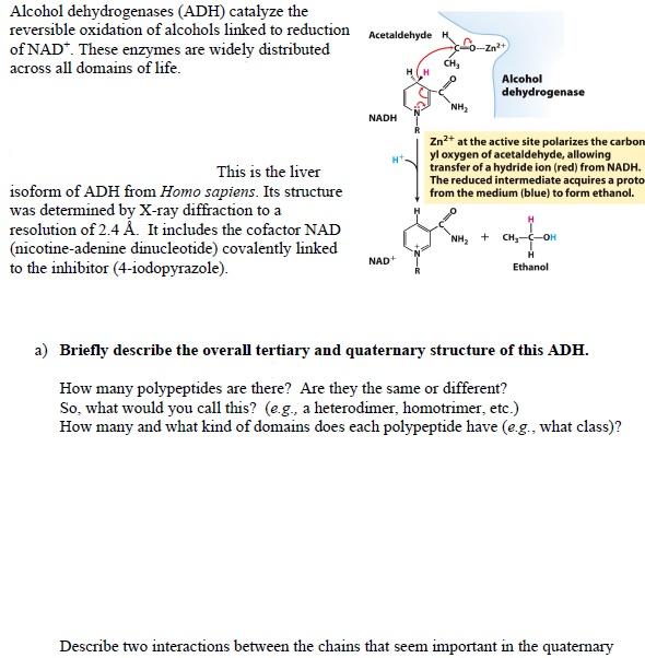 Solved Alcohol dehydrogenases (ADH) catalyze the reversible | Chegg.com