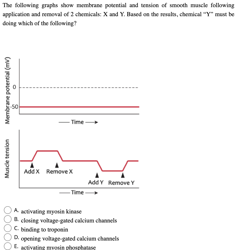 Solved The following graphs show membrane potential and | Chegg.com