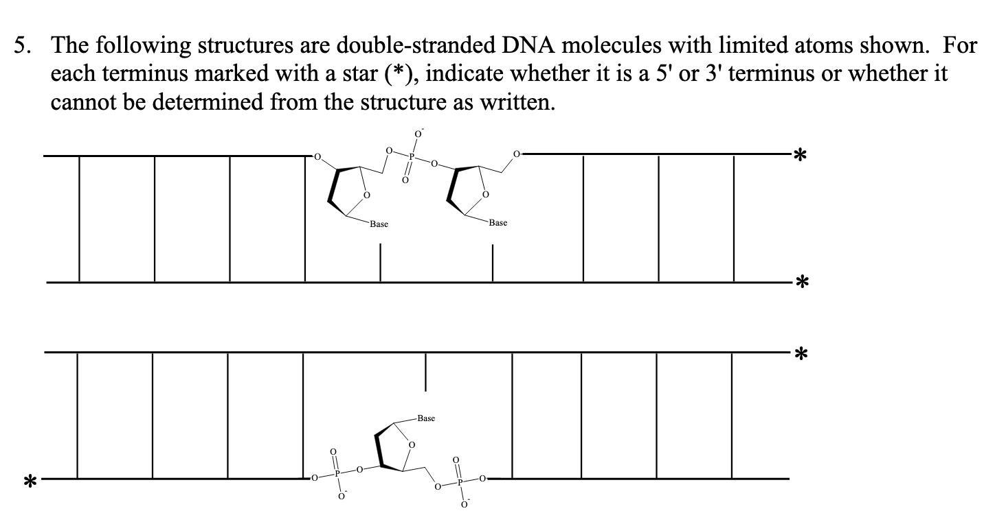 Solved 5. The following structures are double-stranded DNA | Chegg.com